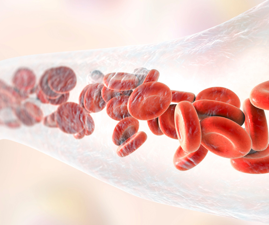 CBT for Blood Phobia - Cognitive Behavioural Therapy Interventions ...